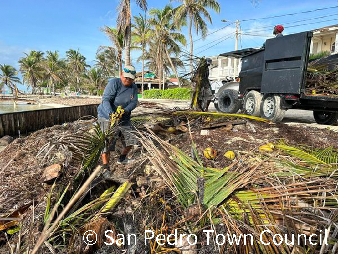 San Pedro Town Council plans to address beach trash - The San Pedro Sun San Pedro Town Council plans to address beach trash - The San Pedro Sun